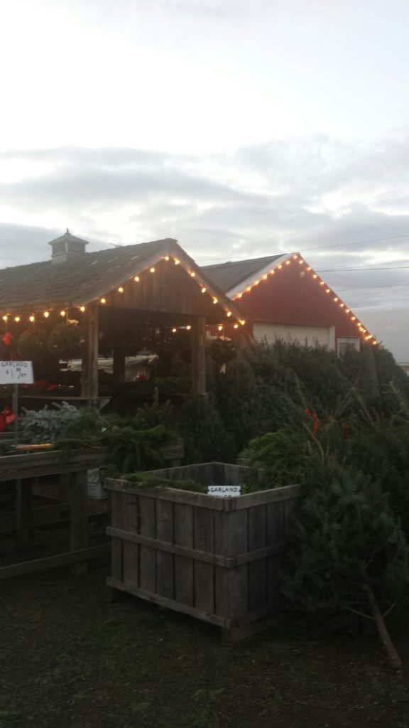 Garden Center – Meadowbrook Farm